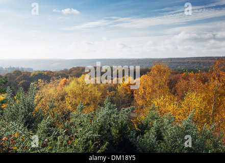 UK, Gloucestershire, Forest of Dean, New Fancy View elevated view Stock ...