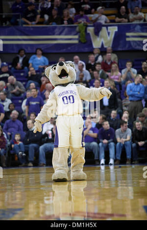 Washington Huskies mascot “Harry the Husky” along the sidelines in the ...