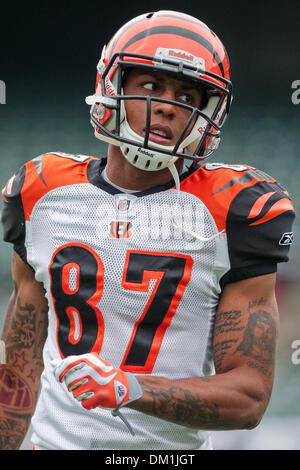 Cincinnati wide receiver Andre Caldwell (87) during game action at the ...