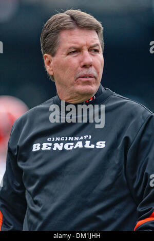 Cincinnati Bengals wide receiver Mike Thomas (80) runs for the play ...