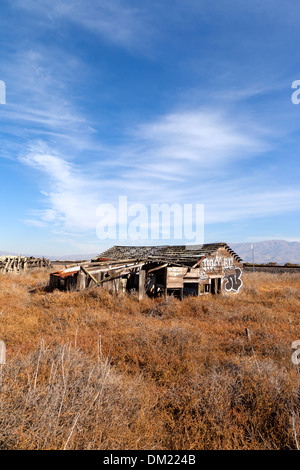 An abandoned shack slowly sinks into the marsh at the ghost town of ...