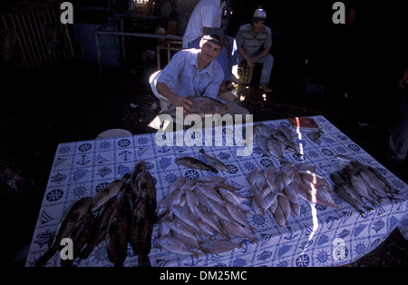 Tripoli fish market, Libya Stock Photo - Alamy
