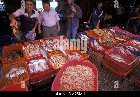 fish market in Tripoli Libya Northern Africa Stock Photo - Alamy
