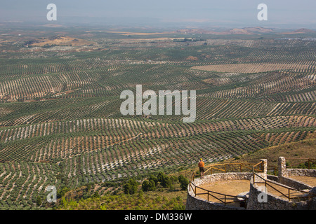 Cazorla, Andalusia, Jaen, Sierra de Cazorla, agriculture, Olive Stock ...