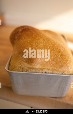 home made whole grain buns with wild garlic Stock Photo - Alamy