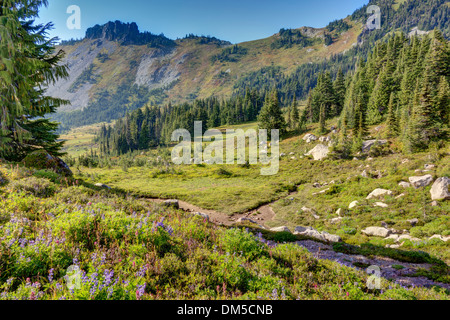 Spray Park, Mt Rainier, Washington Stock Photo - Alamy
