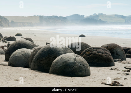 Moeraki Boulders, spherical rocks, East Coast, Otago, South Island, New ...
