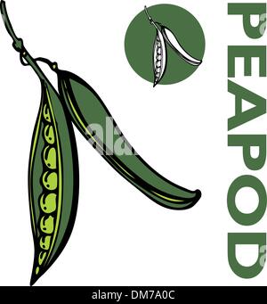 Peas pods sketch vector illustration. Ripe pea beans harvest. Hand ...