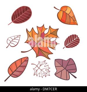 autumn leaves set, isolated on white background. simple cartoon Stock ...