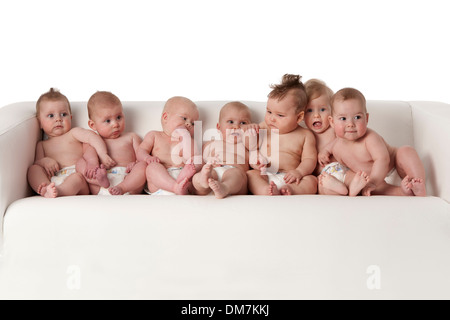 Group of seven babies on a banch on white background Stock Photo - Alamy