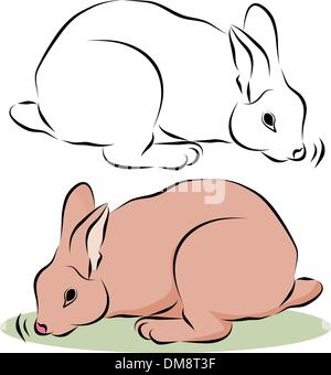 An image of a bunny rabbit sniffing line drawing Stock Photo - Alamy
