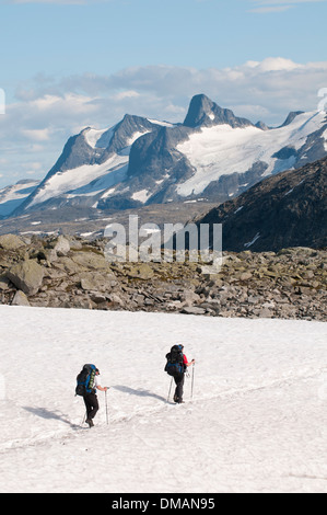 Hikers on the snowfield Stock Photo - Alamy