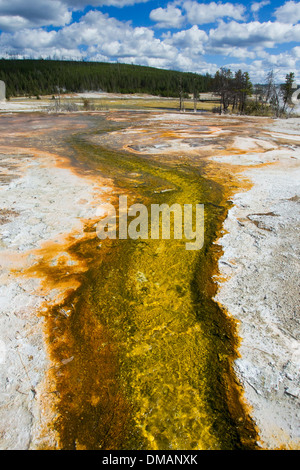 Scenic Landscapes of Geothermal activity of Yellowstone National Park ...