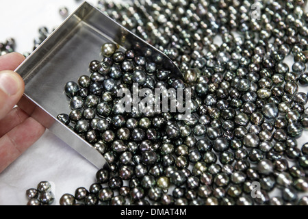 Papeete (Tahiti, French Polynesia), 2011: The Museum of the Pearl Stock ...