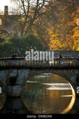 Beautiful autumnal colours in Cambridge - Winter 2013 Stock Photo - Alamy