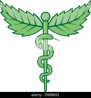 Single snake caduceus with mint leaves isolated on white background ...