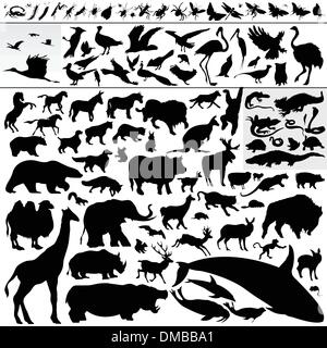 Wildlife poster with various animals vector Stock Vector Image & Art ...