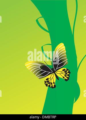 abstract composition with butterfly Stock Vector Image & Art - Alamy