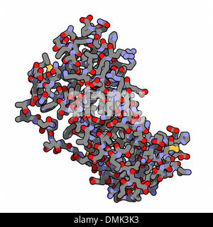 Granulocyte colony-stimulating factor (GCSF, filgrastim) molecule. Used ...