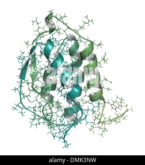 Granulocyte-macrophage colony-stimulating factor (GM-CSF, molgramostim ...
