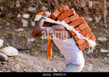 Young Indian man carrying bricks Stock Photo - Alamy