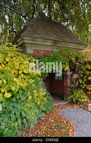 Tall Trees Crawley Stock Photo - Alamy