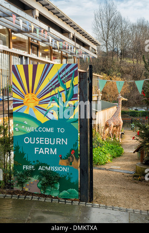 Byker City farm in Newcastle are celebrating two new lambs Ant and Dec ...