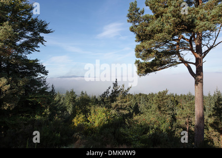 Site of Pictish Hillfort at Craig Phadrig in Inverness-shire, Scotland ...