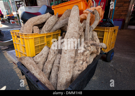 Arrowroot (Pueraria thunbergii) on display at traditional market ...