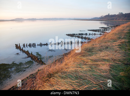 Winter landscape River Deben at sunset Ramsholt, Suffolk, England Stock ...