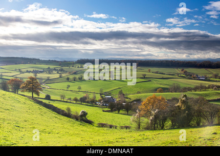 UK, England, Herefordshire, Much Marcle, idyllic half timbered thatched ...
