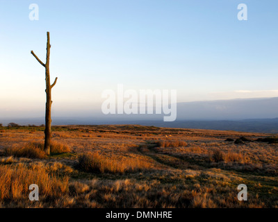 Landscape on Hoar Edge, Shropshire, England, UK Stock Photo - Alamy