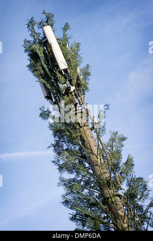 Mobile phone cell tower disguised as a pine tree in the high desert of ...
