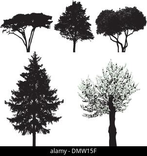 trees - vector set Stock Vector Image & Art - Alamy