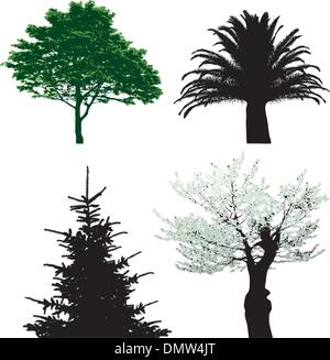pine trees Vector collection, Nature silhouette landscape, Spring forest pine trees Stock Vector ...