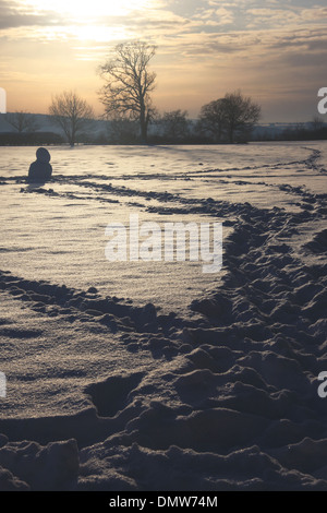 Snowman in snowy field at sunrise Stock Photo - Alamy
