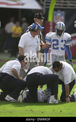 Nov 18, 2001; Tempe, AZ, USA; NFL Football: Detroit Lions RON RICE ...