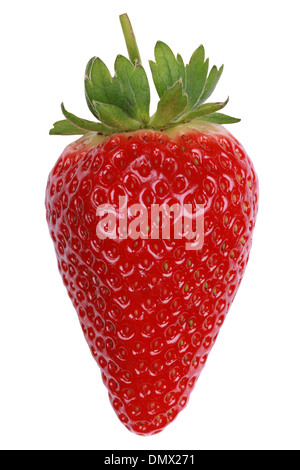 Fresh strawberries isolated on white background Stock Photo - Alamy