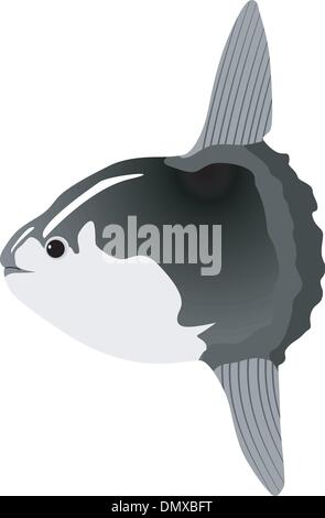 sunfish icon black vector illustration Stock Vector Image & Art - Alamy