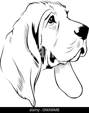 dog Drawing Face Stock Vector Image & Art - Alamy
