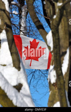 The Canadian flag in snowy surroundings Stock Photo - Alamy
