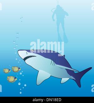 Vector ocean illustration with diver, shark, clown fish, starfish ...