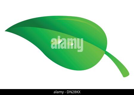 leaf ecology single icon Stock Vector Image & Art - Alamy