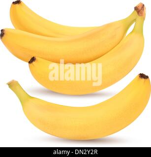 Banana Fruit Close Up. Bunch Of Bananas Isolated On White Background ...