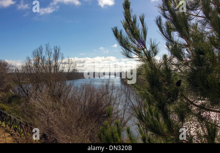 river channel width between trees and vegetation Stock Photo - Alamy