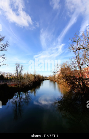 river channel width between trees and vegetation Stock Photo - Alamy