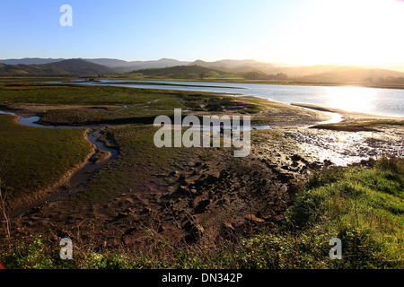 Raft culture of mussels Stock Photo - Alamy