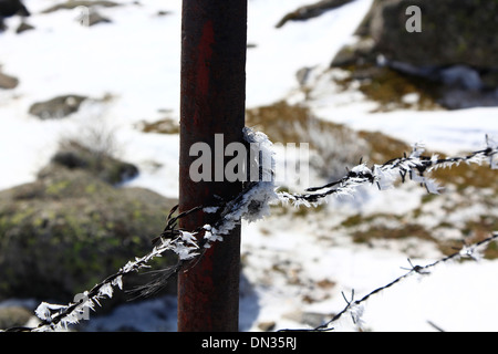 fence of thorns full of ice on wires Stock Photo - Alamy