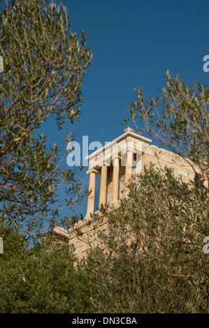 Greece, Athens, Acropolis. Olive tree in front of ancient ruins. (Large ...