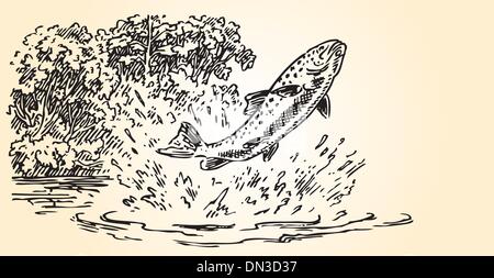 Jumping trout with water splash. Vector illustration Stock Vector Image ...